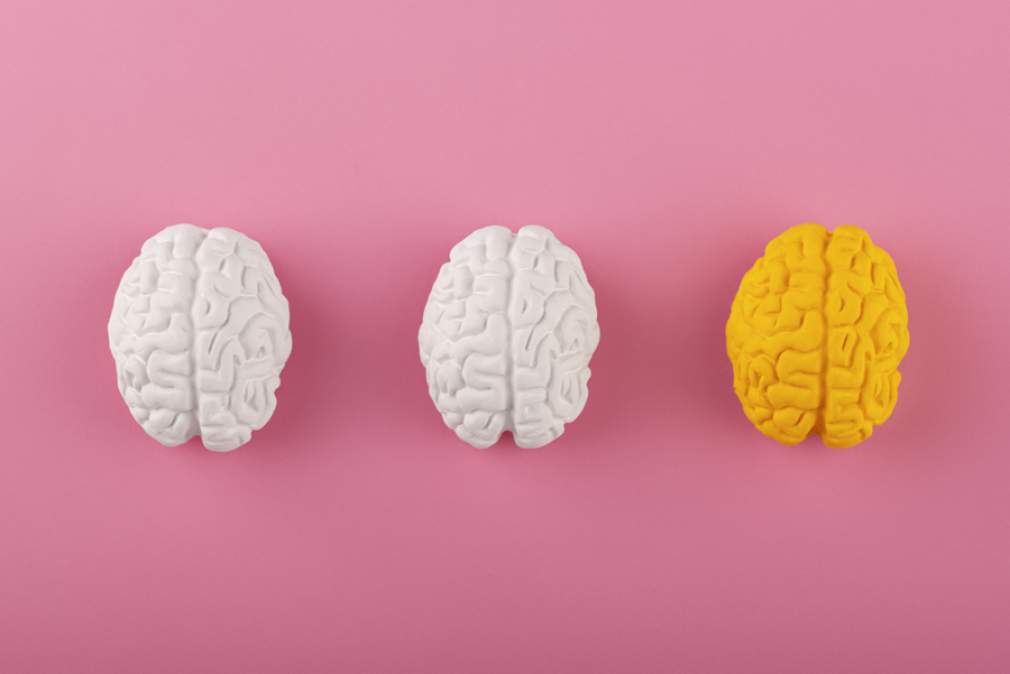 Anvisa aprova novo medicamento contra o Alzheimer: entenda como ...